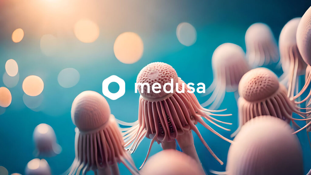 Cómo instalar y configurar Medusa.JS en Ubuntu en 12 pasos